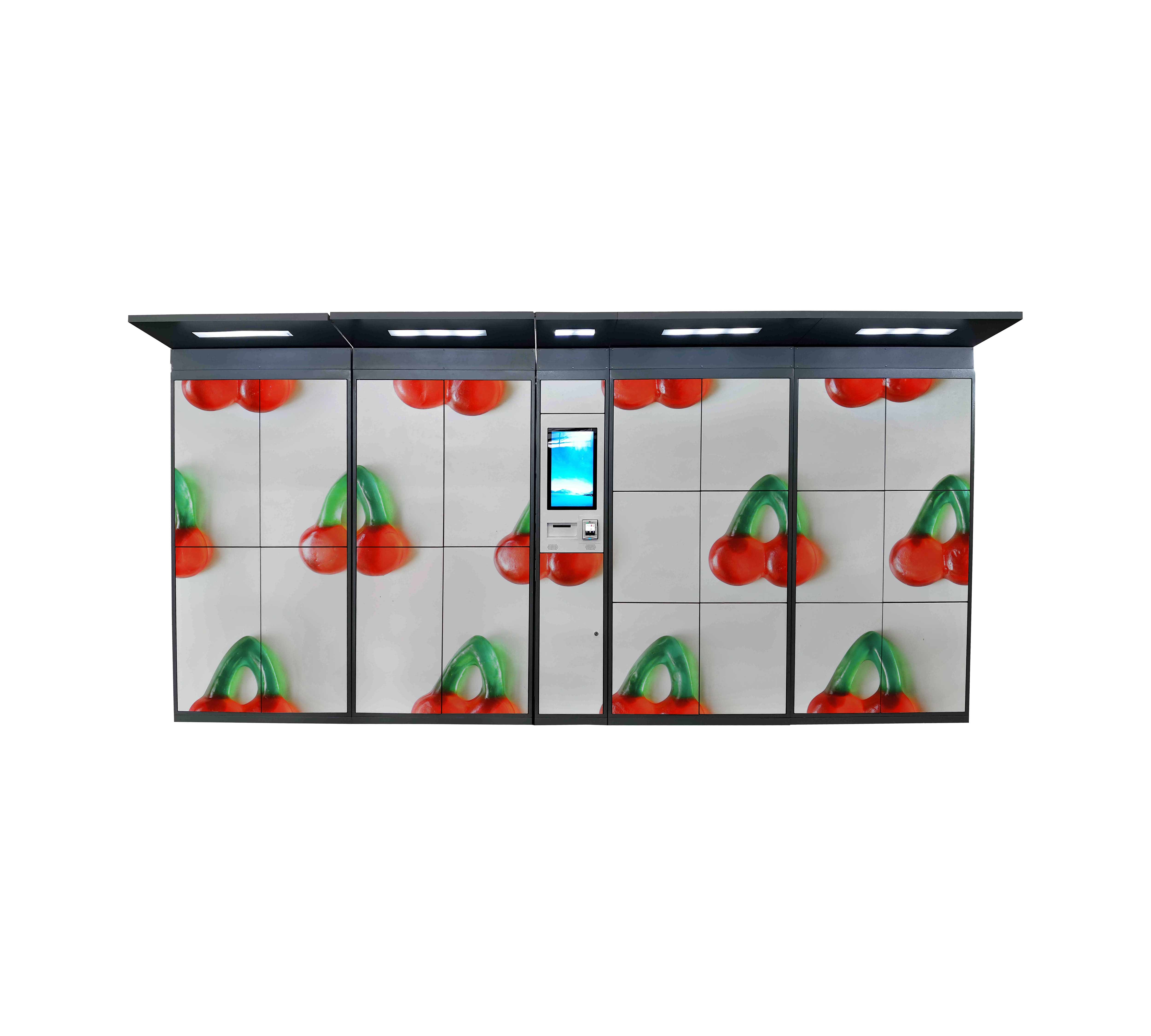 Self Pick Up Parcel Delivery Locker Remote Control Platform Security ...