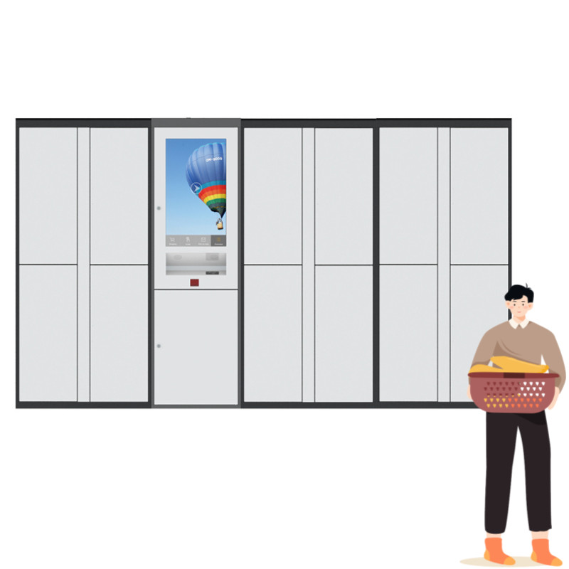 Winnsen Wardrobe Locker Laundry Cabinet Smart Parcel Delivery 2D ...