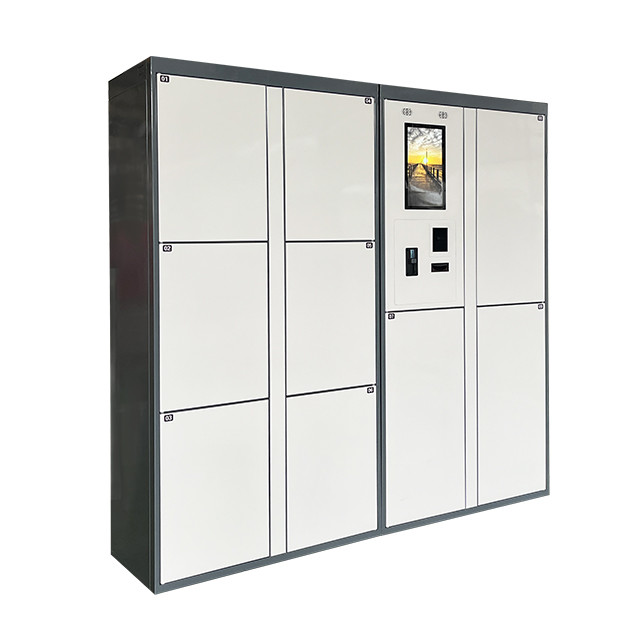 Winnsen Smart Automatic Intelligent Electric Parcel Delivery Locker ...