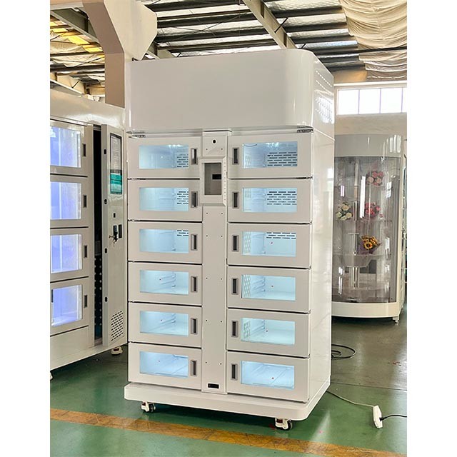 Metal Self Service Smart Refrigerated Food Fresh Locker Frozen Storage ...
