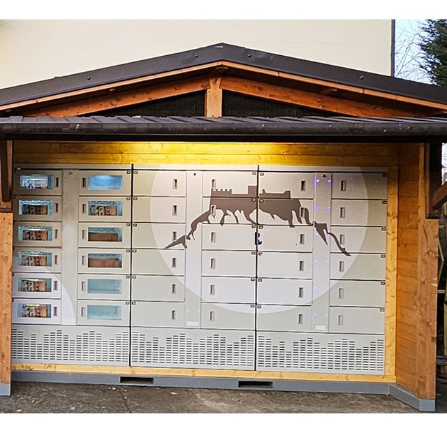 24 Hours Self-Service Smart Automatic Refrigerated Self Pick-Up Locker ...