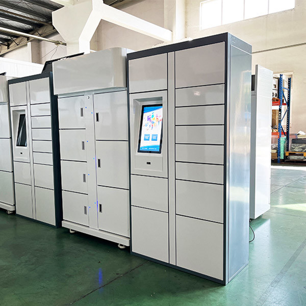 Automatic Smart Touch Screen Frozen Chilled Freezer Locker to Keep ...