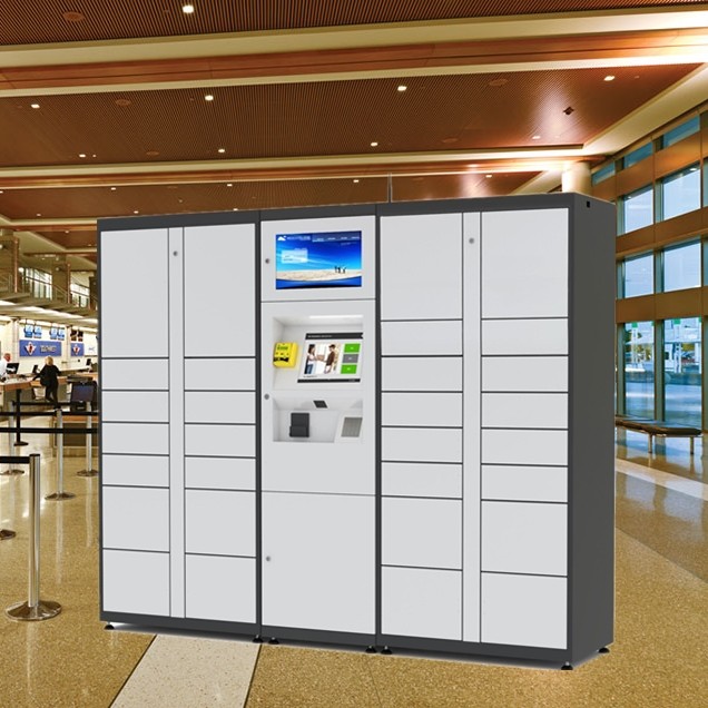 Custom Smart Parcel Distribution Delivery Locker With Networking ...