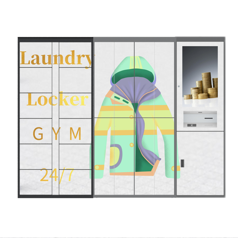 Winnsen Smart Laundry Cabinet Wash Locker with Control Management System