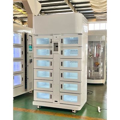 Metal Self Service Smart Refrigerated Food Fresh Locker Frozen Storage ...