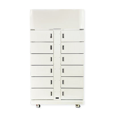 Metal Self Service Smart Refrigerated Food Fresh Locker Frozen Storage ...