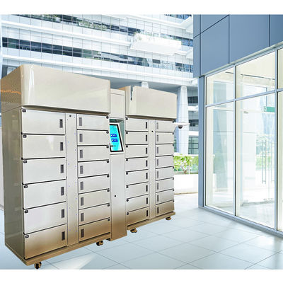 Automatic Smart Touch Screen Frozen Chilled Freezer Locker to Keep ...