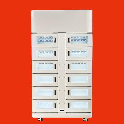 Winnsen Cold Chain Frozen Smart Electronic Refrigerated Parcel Delivery ...