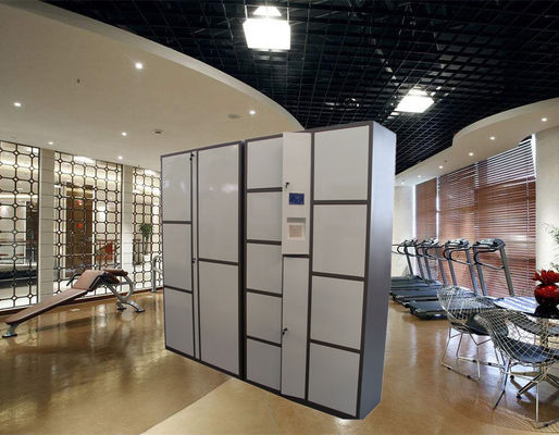 Barcode RFID Luggage Storage Lockers Public Locker for Hotel Guests ...