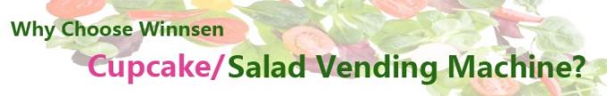 Sandwich 32 Inch Salad Vending Machine With Elevator Conveyor System