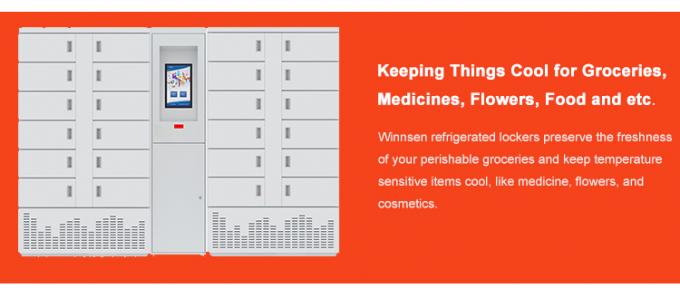 Smart Refrigerated Food Fresh Locker Frozen Storage Metal Self Service