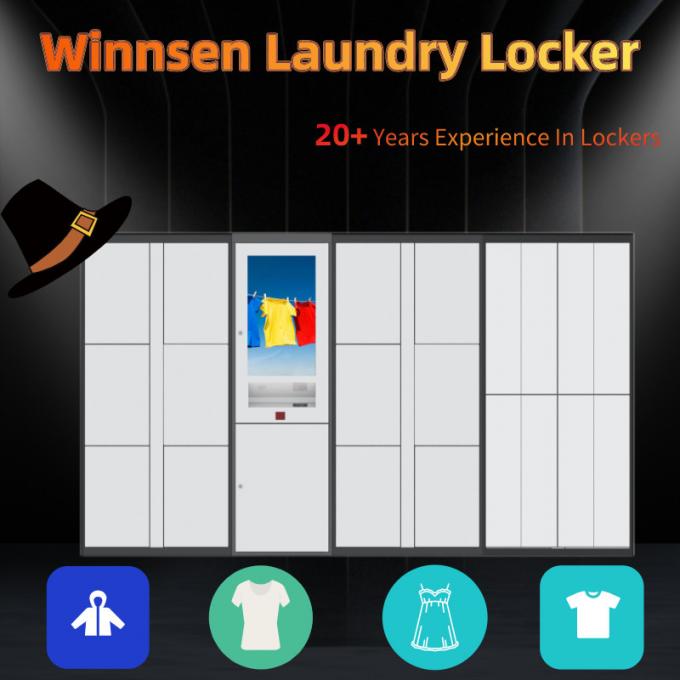 Winnsen Wardrobe Locker Laundry Cabinet Smart Parcel Delivery 2D ...